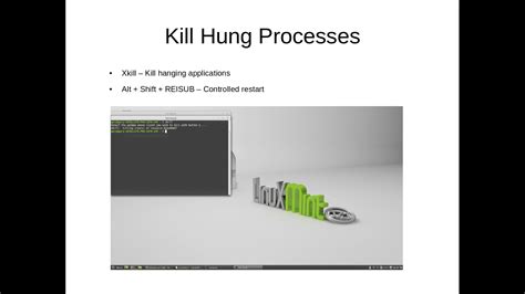 Terminal Kill Process At Murray Baxter Blog