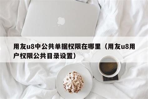 用友u8中公共单据权限在哪里用友u8用户权限公共目录设置 用友erp软件 用友财务软件免费下载
