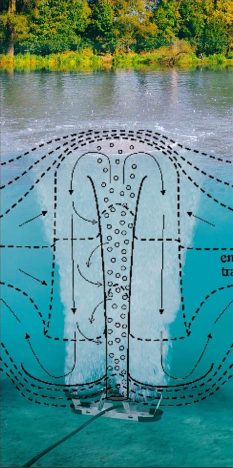 Understanding The Benefits Of Diffused Aeration Laketech