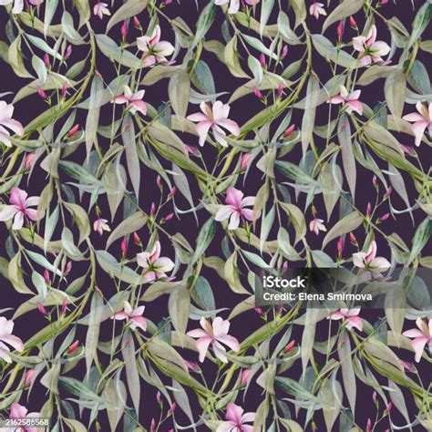 손으로 그린 수채화 그림 식물 잎 Osier 버드 나무 유칼립투스 월계수 가지 Clematis Lobelia Impatiens