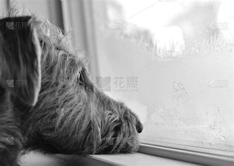 每分钟每小时