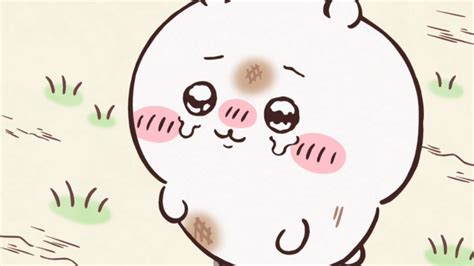 [잡담] 치이카와 만져보고싶다 인스티즈 Instiz 일상 카테고리