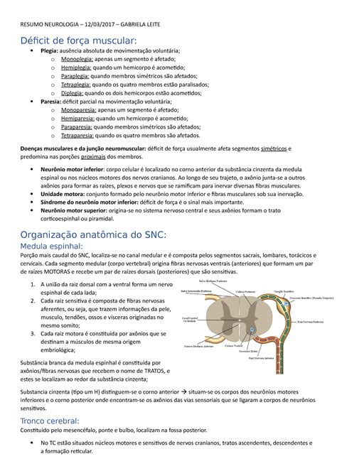 Resumo Neuro Gabi Leite Conceitos Resumo Neurologia 12032017 Gabriela Leite Déficit De