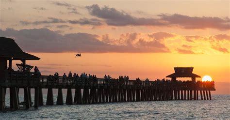 Florida Woman 20 Jumps Into Ocean To Evade Police After Being Caught