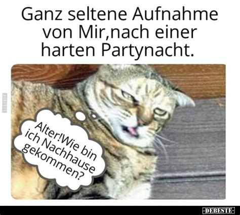 10 Lustige Bilder H Seite 3611 DEBESTE De