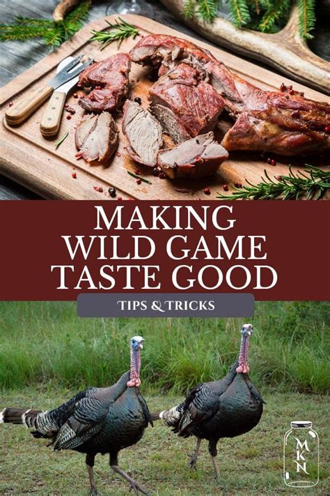 Wild Game Artofit
