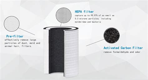 News The Complete Guide To Using Air Purifiers