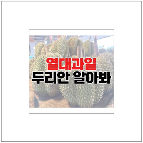 열대과일종류 두리안 냄새 맛 효능 알려줄게 네이버 블로그