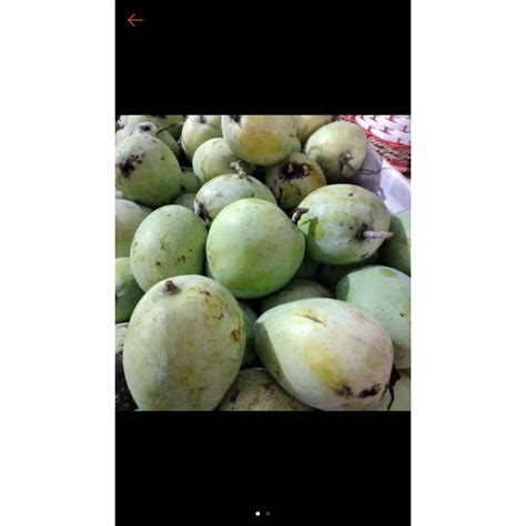 Jual Buah Mangga Indramayu Manis 1kg Shopee Indonesia