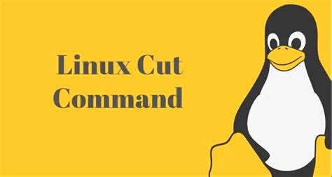 Awk Command In Linux The Awk Command In Linux Is A Powerful By Harsh Hatej Apr 2024 Medium