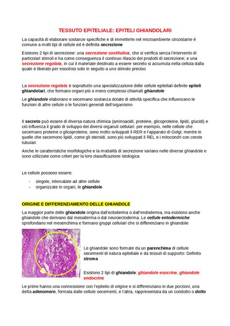 Tessuto Epiteliale Docsity