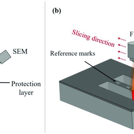 Scheme Of FIB SEM Setting A FIB Slicing Process B Adapted With Download Scientific