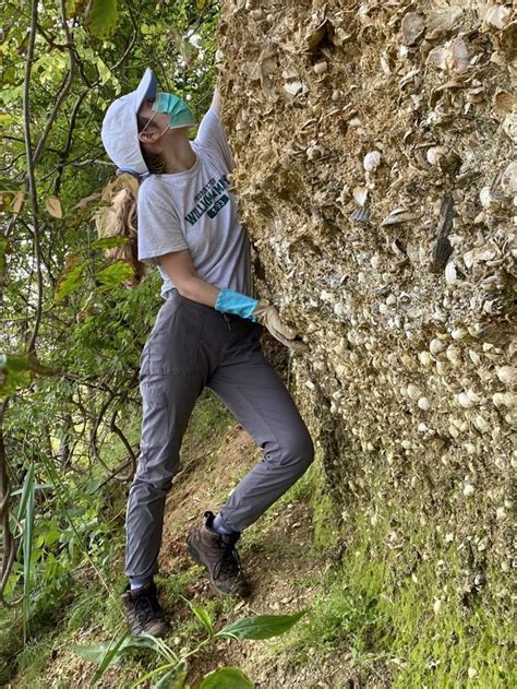 National Park Service Geologic Type Section Inventory