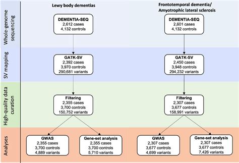 Table 1 From Genome Wide Structural Variant Analysis Identifies Risk