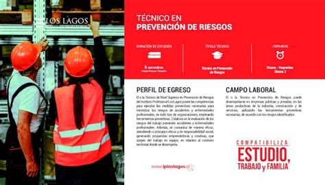 PDF TÉCNICO EN PREVENCIÓN DE RIESGOS TÍTULO TÉCNICO Técnico en
