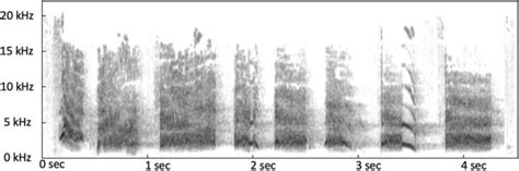 Spectrogram Of A Representative Noisy Scream Used As A Stimulus In Our Download Scientific