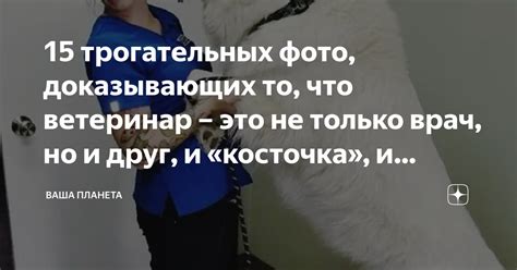 15 трогательных фото доказывающих то что ветеринар это не только