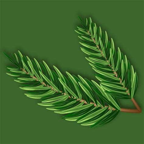 Premium Vector Christmas Tree Branches