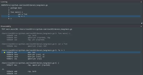 Runtime Nil Pointer Dereference Hangs On Macos Instead Of Panicking · Issue 50322 · Golanggo