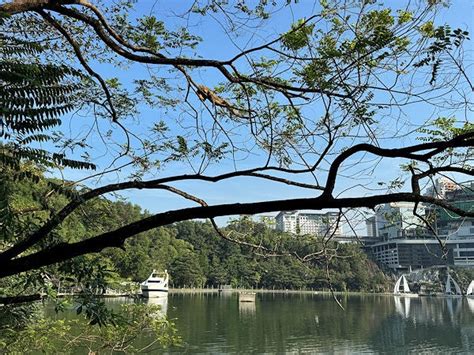 マレーシアって、意外なものに出会う。 移住9年！マレーシア生活はローカル気分♡