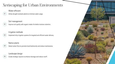 Xeriscaping Water Conservation PPT Slides ACP PPT Presentation