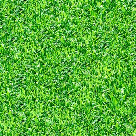 Grass Seamless Patterns Grass Seamless Patterns