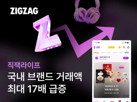 지그재그 가성비and가심비 앞세운 국내 제품 흥행…전년比 17배 ↑ Tenant News
