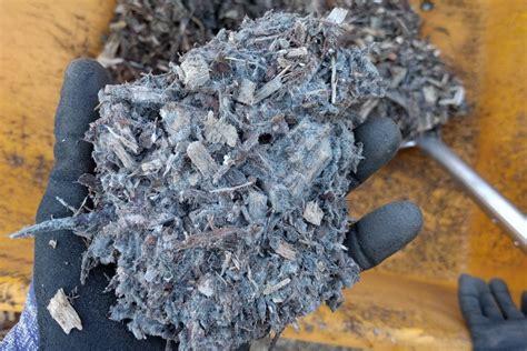 Using Wood Chips As Mulch For Fruit Trees Greg Alders Yard Posts