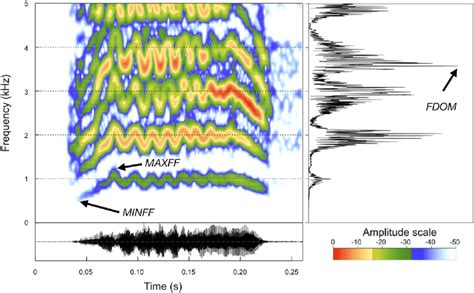color online spectrogram oscillogram and power spectrum of the