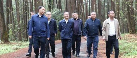 胡忠雄：扎实做好森林防火工作 全力守护人民生命财产安全和生态安全建设贵阳市林长