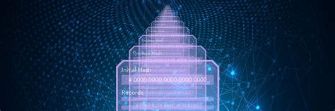Data Integrity Protocol And Systems Exsel Group