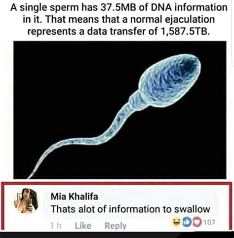 274 Best Data Scientist Images On Pholder Programmer Humor Datascience And Resumes