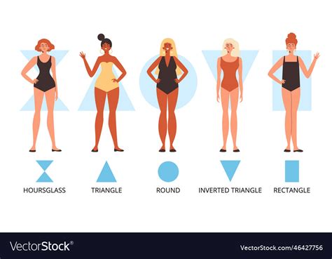 Female Figure And Body Types Classification Vector Image