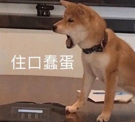 热门表情包图片：给你听听，这说的是人话吗