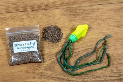 Refillable Mini Squid Toy Meowy Janes