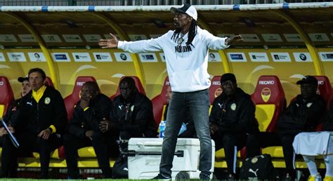 Senegal Vs Netherlands Predictions African Champions Can Make Positive