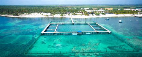 Punta Cana Dominikana Najlepszy Region Turystyczny All Inclusive