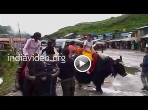 Tsomgo Lake Nathula Pass Sikkim India Video