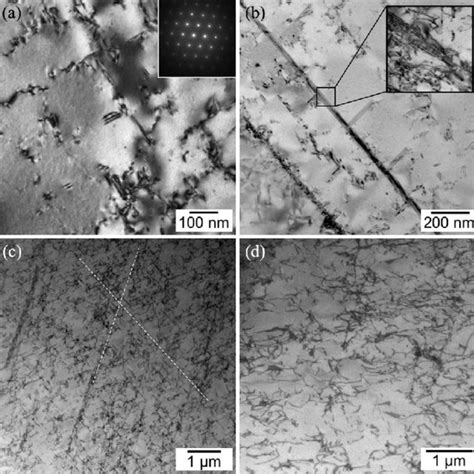 Cross Sectional Ebsd Iq Showing The Low Angle Grain Boundaries Of