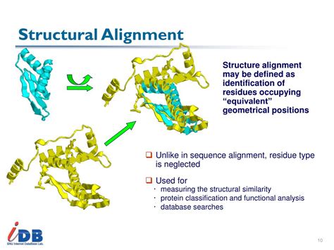 Ppt Ch12 Creation And Analysis Of Protein Multiple Sequence Alignment Powerpoint Presentation