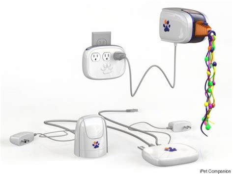 Let The iPet Companion Play With Your Pets For You · Student Edge News