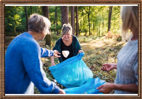 Stream Clean-Up | MyLO