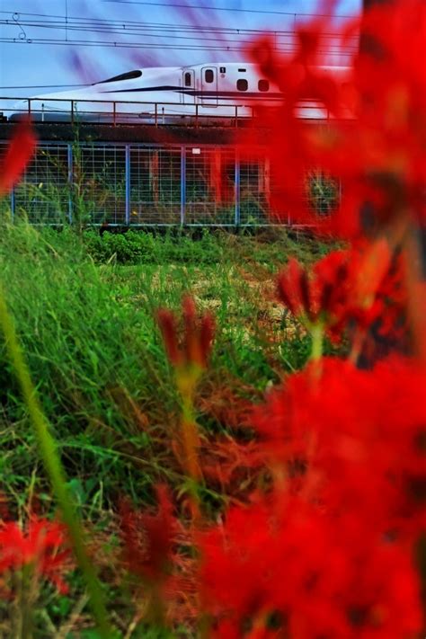 新幹線n700s系 鉄道と富士山