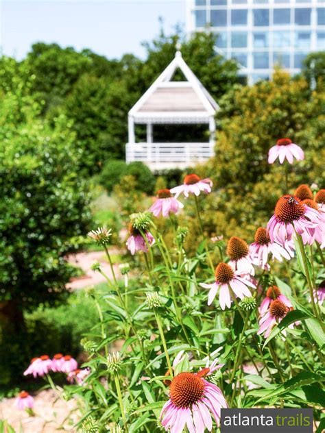 Coastal Georgia Botanical Garden Ideas To Consider Sharonsable