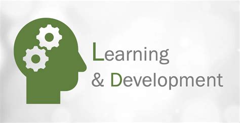 Why Is Learning And Development Important For Organisations Tick Hr