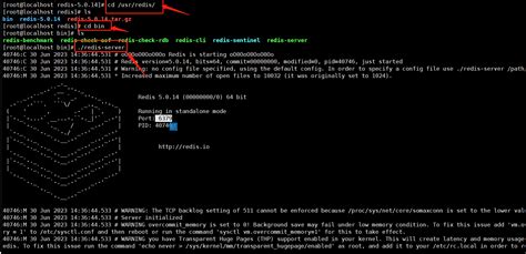 Redis-CSDN博客