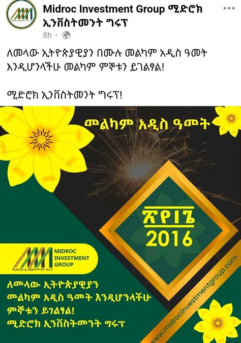 اَمير Amir Hussein Mohammed Posted On Linkedin