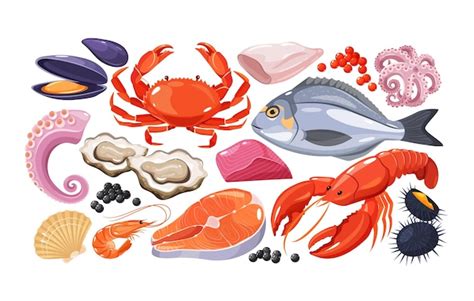 Vector Colección Colorida De Mariscos Vector Premium