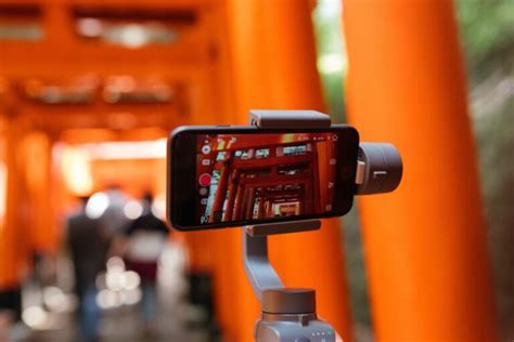 12 Cara Fyp Di Tiktok Agar Cepat Viral Terbukti Di 2025