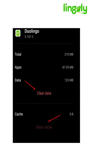How To Fix Duolingo Widget Not Working June 2025 Lingoly Io